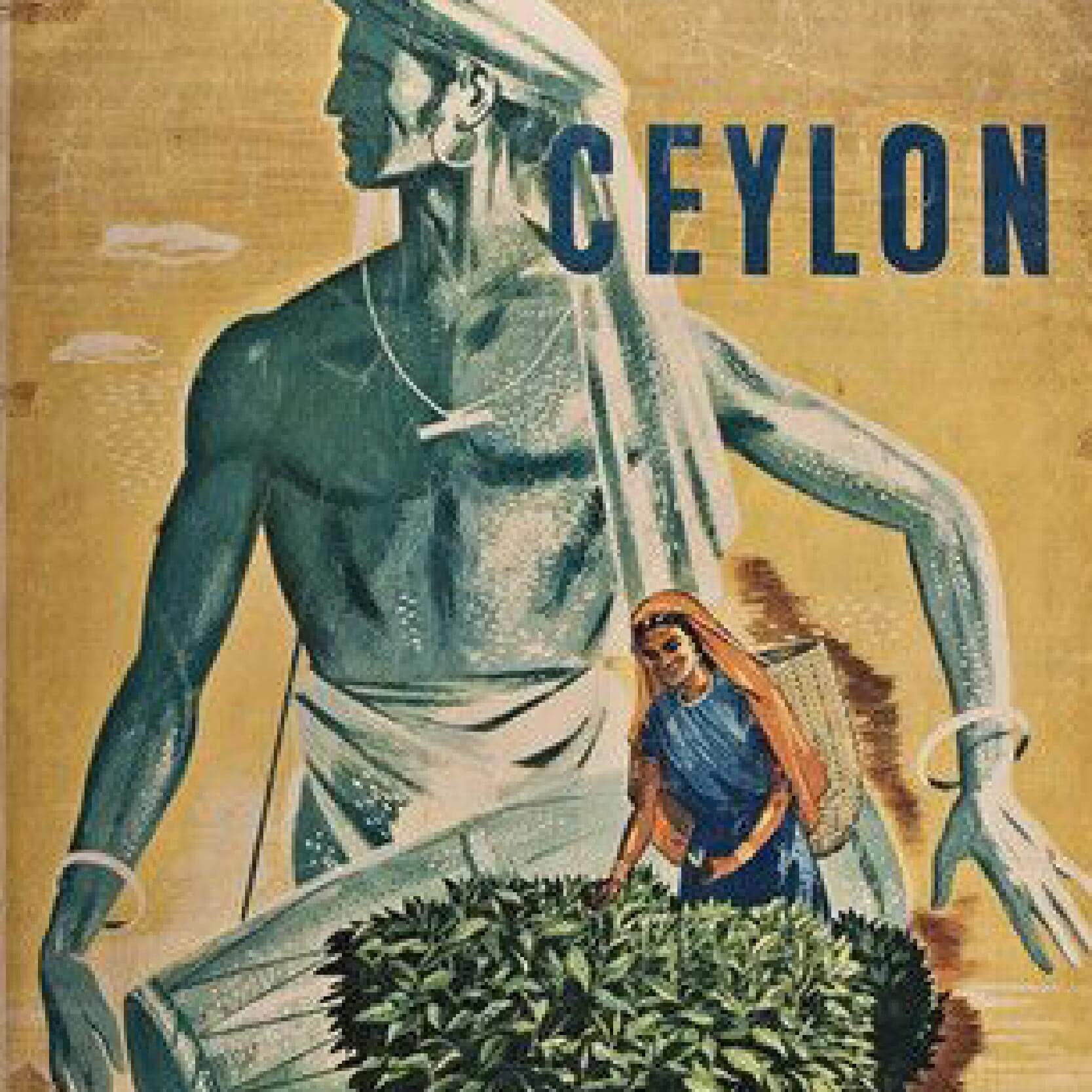 Story of Ceylon Tea - Ceylon Tea