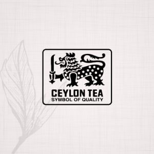 Production & Detailed Process - Ceylon Tea