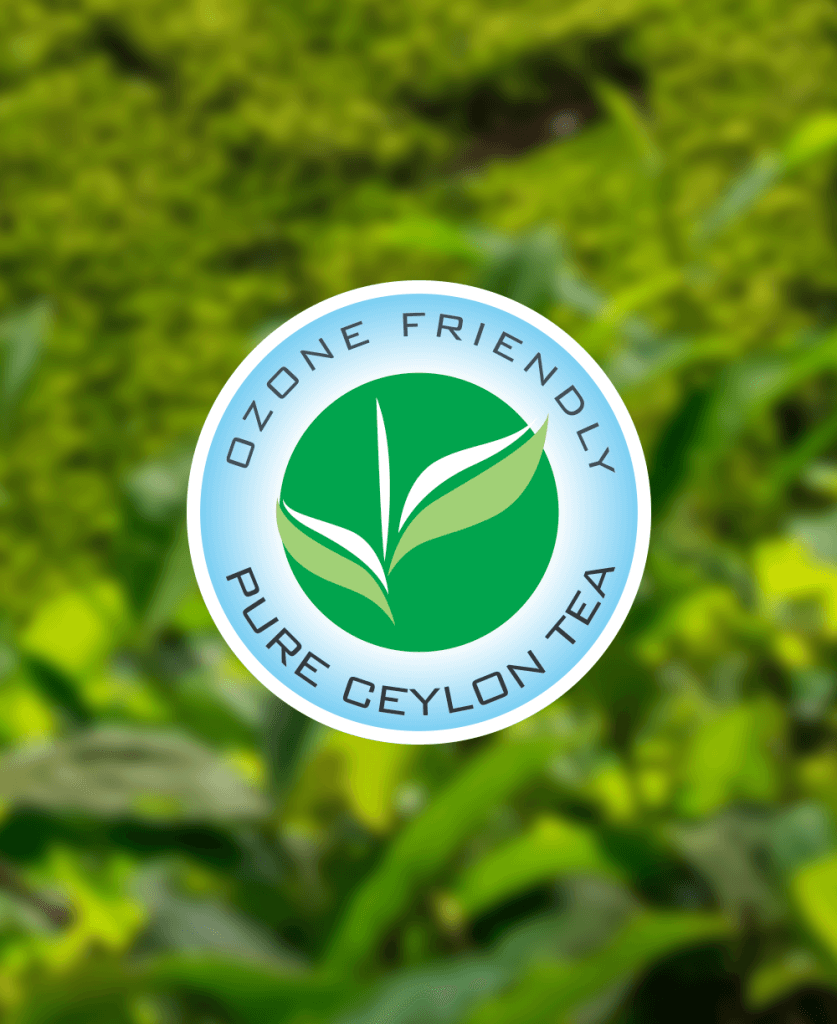 Production & Detailed Process - Ceylon Tea