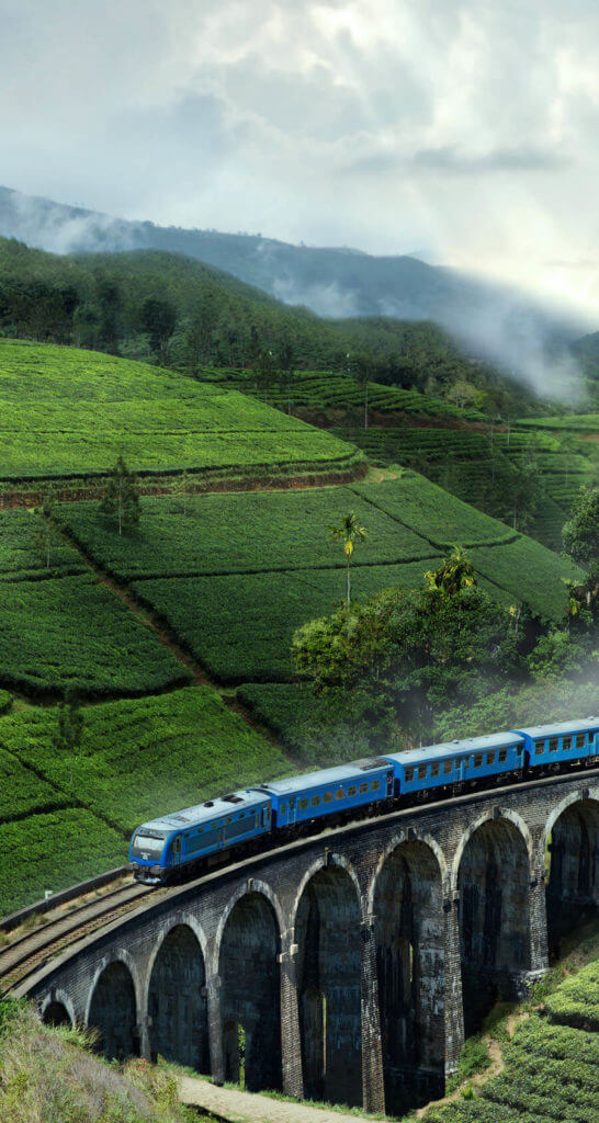Story of Ceylon Tea - Ceylon Tea